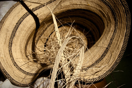 Imágenes de Montuno: descubre bancos de fotos, ilustraciones, vectores ...