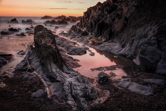 Rockpool Images – Browse 27,574 Stock Photos, Vectors, and Video ...