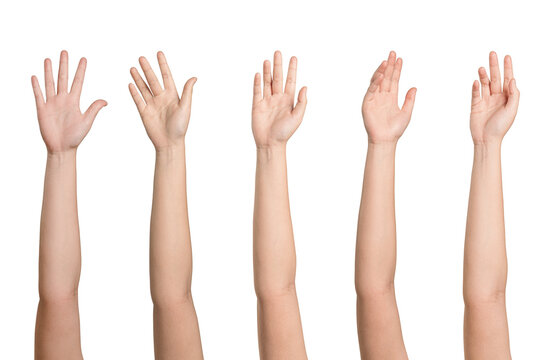 "Hand Up" Bilder – Durchsuchen 11,280 Archivfotos, Vektorgrafiken und ...