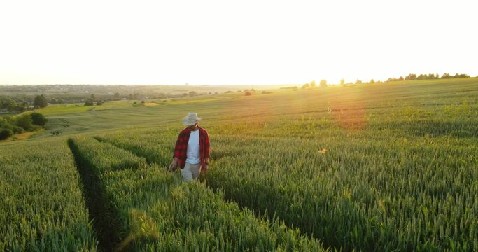 Agritech Images – Browse 4,629 Stock Photos, Vectors, and Video | Adobe ...