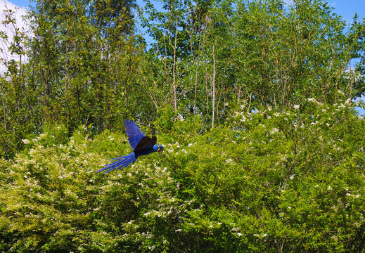 รูปภาพGranivore – เลือกดูภาพถ่ายสต็อก เวกเตอร์ และวิดีโอ2,308 | Adobe Stock
