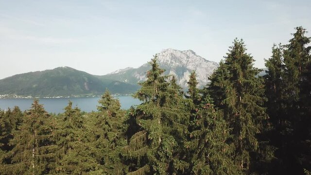 Traunstein Video Footage – Browse 307 HD Stock Video and Footage ...