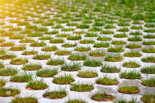 Grass Block Pavers: A Permeable And Sustainable Design, 52% OFF