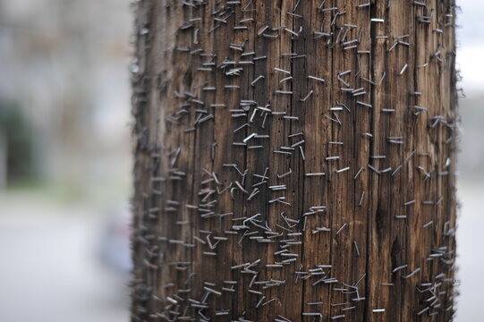 Telephone Pole Texture Images – Browse 621 Stock Photos, Vectors, and ...