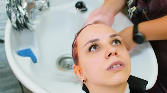 Envato Images – Browse 183 Stock Photos, Vectors, and Video | Adobe Stock