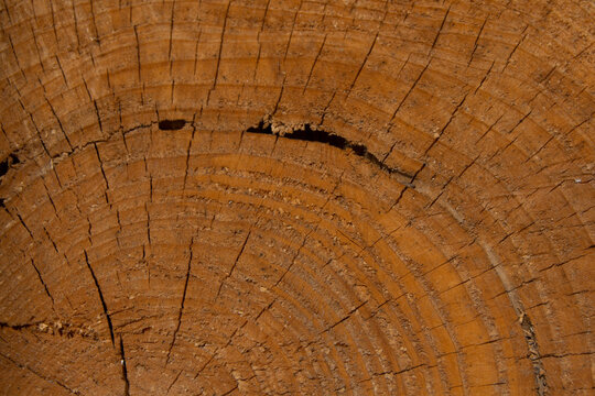 Marg bilder – Bläddra bland 43,766 stockfoton, vektorer och videor ...