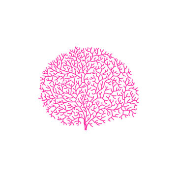 488 BEST Brain Coral Vector IMAGES, STOCK PHOTOS & VECTORS | Adobe Stock