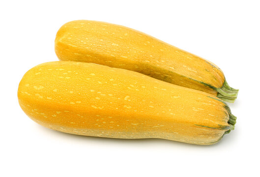 「Zukini」の写真素材 | 654件の無料イラスト画像 | Adobe Stock