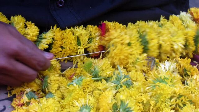 Imágenes de Galgota: descubre bancos de fotos, ilustraciones, vectores ...