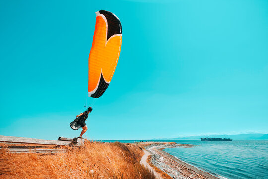 Free-Fly Images – Browse 254 Stock Photos, Vectors, and Video | Adobe Stock