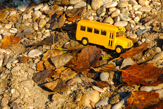 School-Bus bilder – Bläddra bland 869 stockfoton, vektorer och videor ...