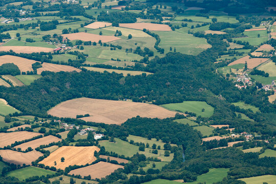 「Malval」の写真素材 | 82件の無料イラスト画像 | Adobe Stock