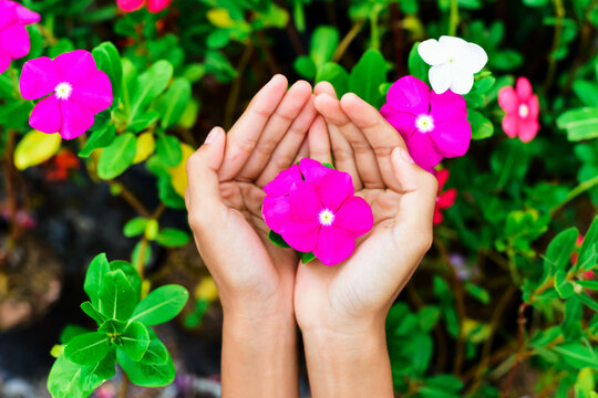 「Condone」の画像 - 617 件の Stock 写真、ベクターおよびビデオ | Adobe Stock