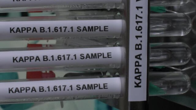 Kappa Video Footage – Browse 396 HD Stock Video and Footage | Adobe Stock