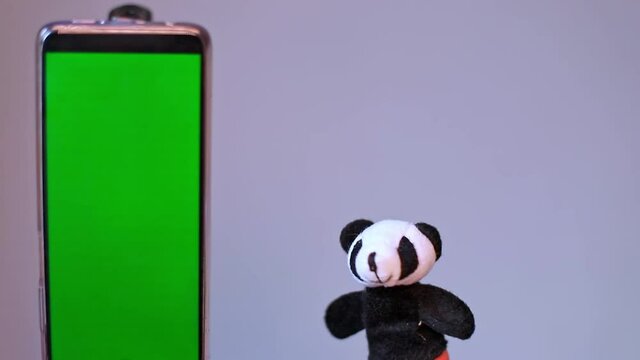 "Funny Panda" Images – Browse 145 Stock Photos, Vectors, and Video ...