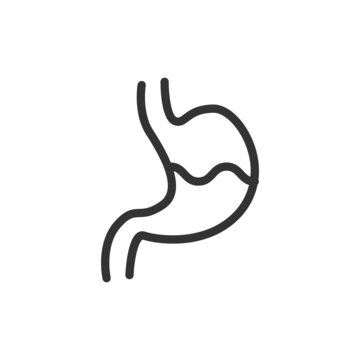 "Stomach Lining" Images – Browse 229 Stock Photos, Vectors, and Video ...