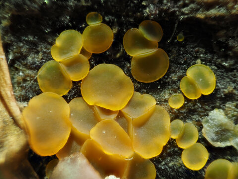 「Destruenten」の画像 - 241 件の Stock 写真、ベクターおよびビデオ | Adobe Stock