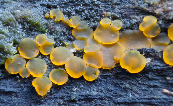 Destruenten bilder – Bläddra bland 241 stockfoton, vektorer och videor ...