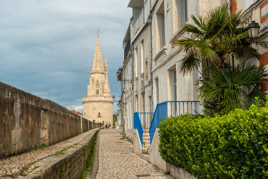 Tiburio Bilder – Durchsuchen 2,953 Archivfotos, Vektorgrafiken und ...