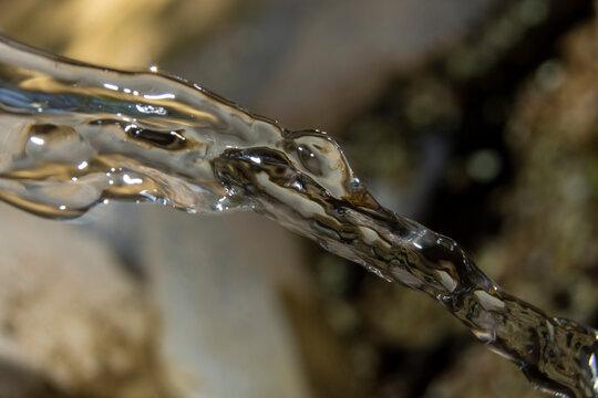 Manando Images – Browse 16 Stock Photos, Vectors, and Video | Adobe Stock