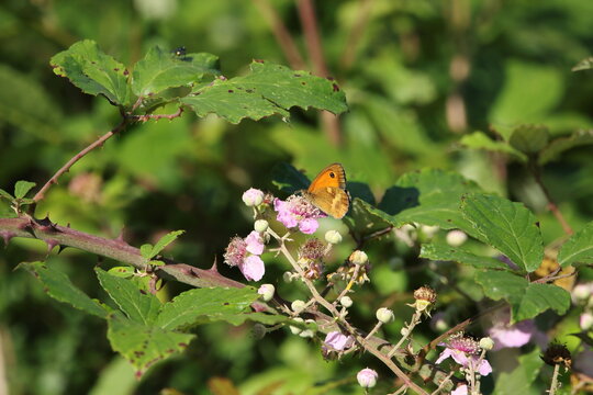 Gatekeeper Images – Browse 2,561 Stock Photos, Vectors, and Video ...