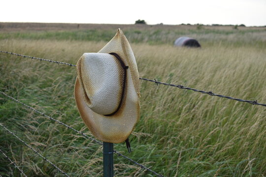 Imágenes de Labriego: descubre bancos de fotos, ilustraciones, vectores ...