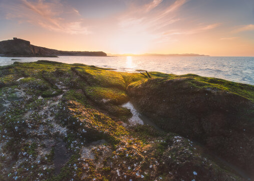 Talien Bilder – Durchsuchen 3,400 Archivfotos, Vektorgrafiken und ...