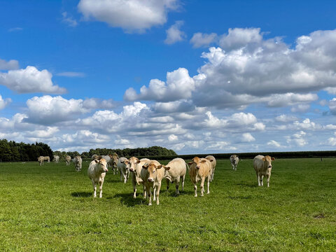 "Sous Images – Parcourir 58,932 le catalogue de photos, vecteurs et ...