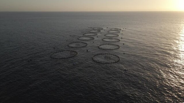 Lofo Images – Browse 190 Stock Photos, Vectors, and Video | Adobe Stock