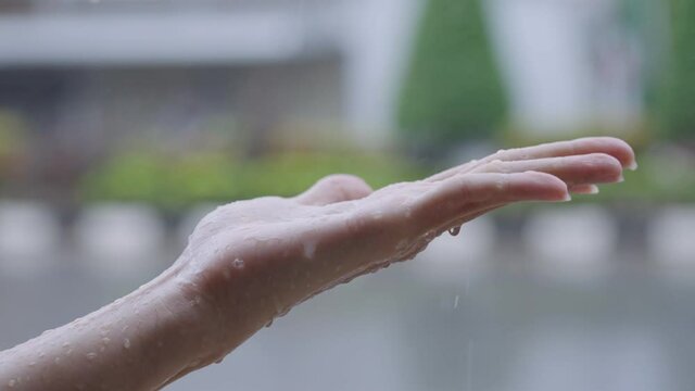 "Wet Hand" Images – Browse 68 Stock Photos, Vectors, and Video | Adobe ...