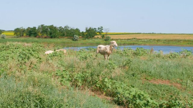 รูปภาพDanny – เลือกดูภาพถ่ายสต็อก เวกเตอร์ และวิดีโอ473 | Adobe Stock