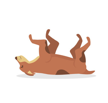 2,976 BEST Doggy Style Position IMAGES, STOCK PHOTOS & VECTORS | Adobe ...