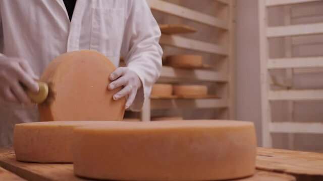 Maturation Images – Browse 8,461,819 Stock Photos, Vectors, and Video ...