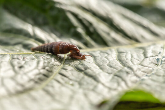 รูปภาพSpitzig – เลือกดูภาพถ่ายสต็อก เวกเตอร์ และวิดีโอ461 | Adobe Stock