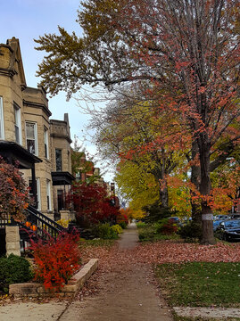 Ravenswood Images – Browse 251 Stock Photos, Vectors, and Video | Adobe ...