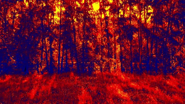 Permeated Images – Browse 53,571 Stock Photos, Vectors, and Video ...