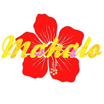 「Mahalo」の写真素材 | 347件の無料イラスト画像 | Adobe Stock