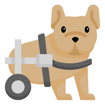 "Disabled Dog" Images – Browse 321 Stock Photos, Vectors, and Video ...