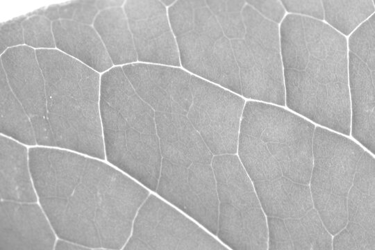 Scoke Bilder – Durchsuchen 2,872 Archivfotos, Vektorgrafiken und Videos ...