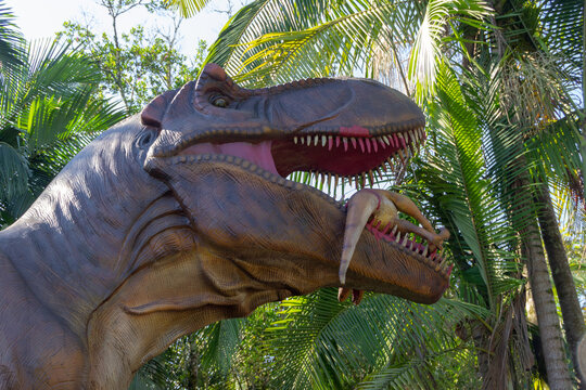 รูปภาพDinossauros – เลือกดูภาพถ่ายสต็อก เวกเตอร์ และวิดีโอ93 | Adobe Stock