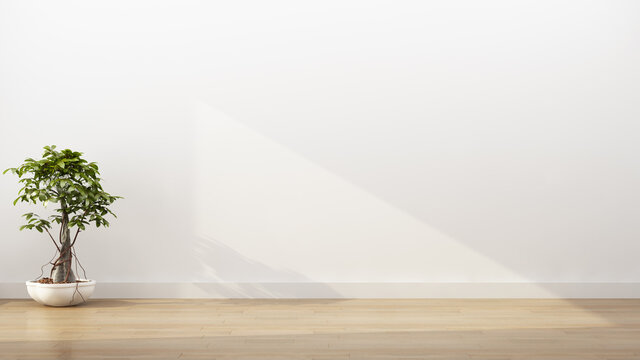 Whitewall Imagens – Procure 980 fotos, vetores e vídeos | Adobe Stock