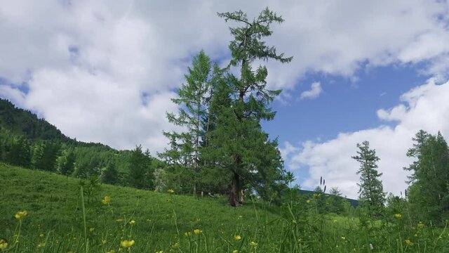 Cloud-Drift Images – Browse 96 Stock Photos, Vectors, and Video | Adobe Stock