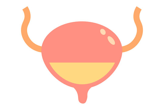 Imágenes de Poliuria: descubre bancos de fotos, ilustraciones, vectores ...