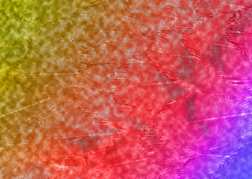 "Graphite Texture" Images – Browse 324 Stock Photos, Vectors, and Video ...