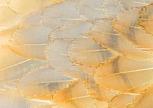 "Graphite Texture" Images – Browse 324 Stock Photos, Vectors, and Video ...