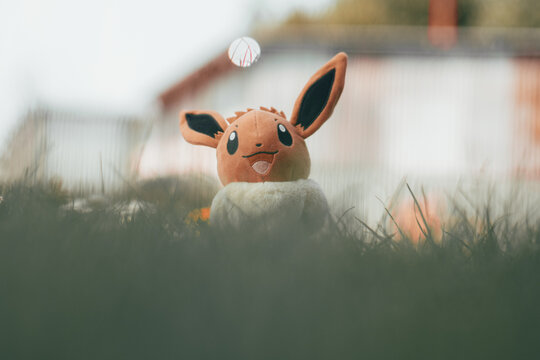 Pokémon Billeder – Gennemse 2,735 stockfotos, vektorer og videoer ...