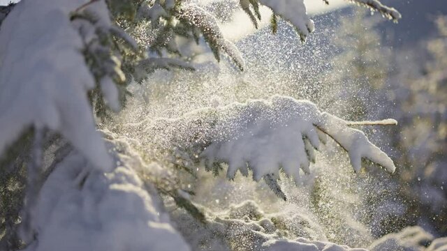 "Snow Grains" Images – Browse 631 Stock Photos, Vectors, and Video ...