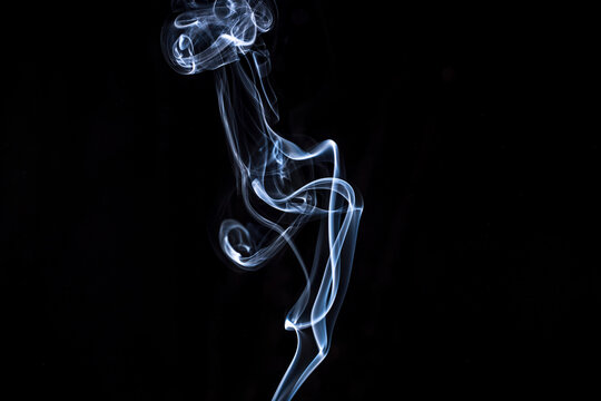 굽기 Images – Browse 793 Stock Photos, Vectors, and Video | Adobe Stock