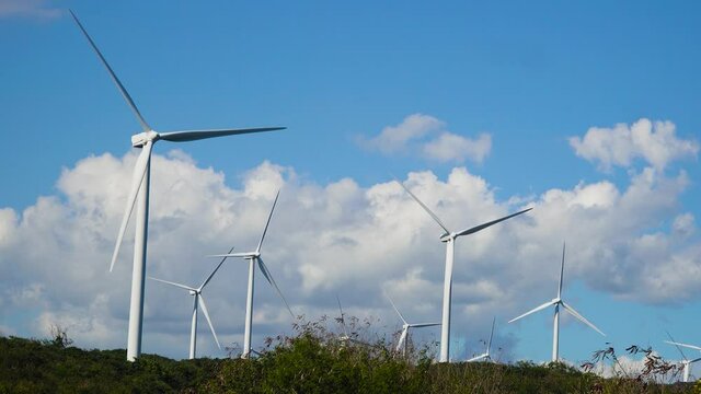 Obrazy (Windm) — zdjęcia, wektory i wideo bez tantiem (81) | Adobe Stock