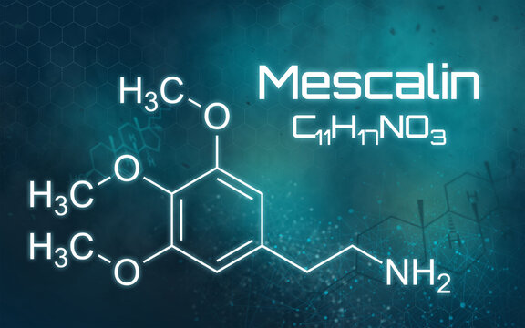 「Meskalin」の写真素材 | 42件の無料イラスト画像 | Adobe Stock